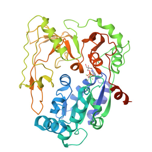 RCSB PDB - 5FHH: Structure of human Pif1 helicase domain residues 200-641