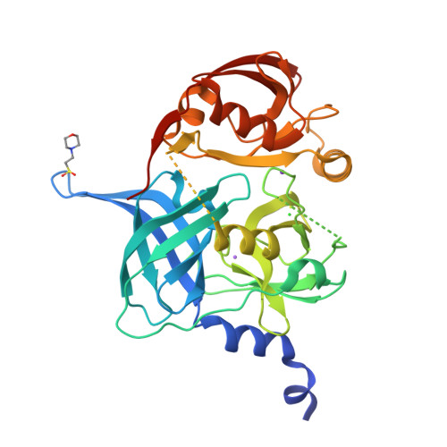 RCSB PDB - 5FHT: HtrA2 protease mutant V226K