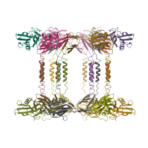 RCSB PDB - 5FHY: Crystal structure of FliD (HAP2) from Pseudomonas ...