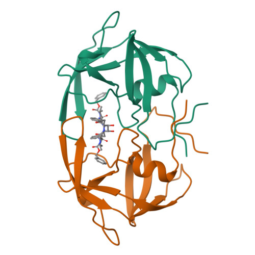 RCSB PDB - 5FIV: STRUCTURAL STUDIES OF HIV AND FIV PROTEASES COMPLEXED ...