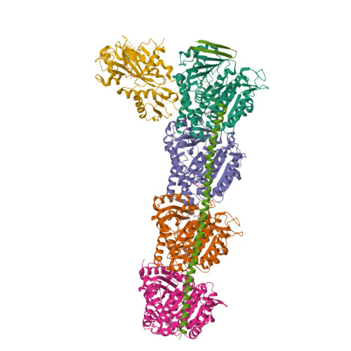 RCSB PDB - 5FNV: a new complex structure of tubulin with an alpha-beta ...