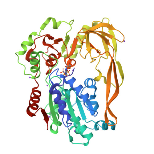 RCSB PDB - 5FTB: Crystal structure of Pif1 helicase from Bacteroides in ...