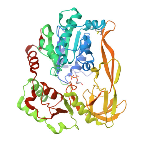 RCSB PDB - 5FTF: Crystal structure of Pif1 helicase from Bacteroides ...