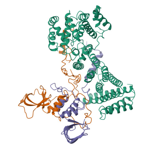RCSB PDB - 5FU6: NOT module of the human CCR4-NOT complex ...