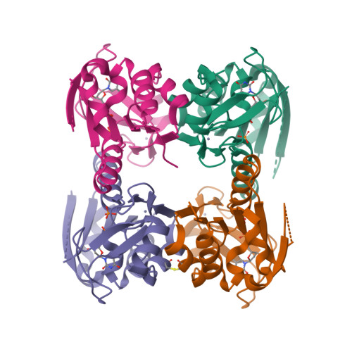 RCSB PDB - 5FUY: catalytic domain of Thymidine kinase from Trypanosoma ...