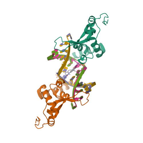 RCSB PDB - 5G33: Structure of Rad14 in complex with acetylnaphtyl ...