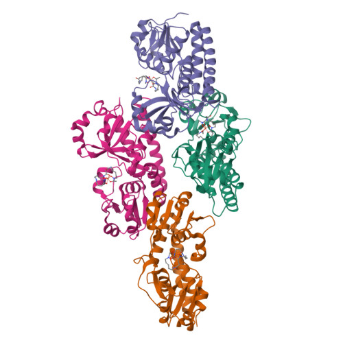 RCSB PDB - 5GGX: Crystal Structure of Fe3+ - Desferal bound siderophore ...