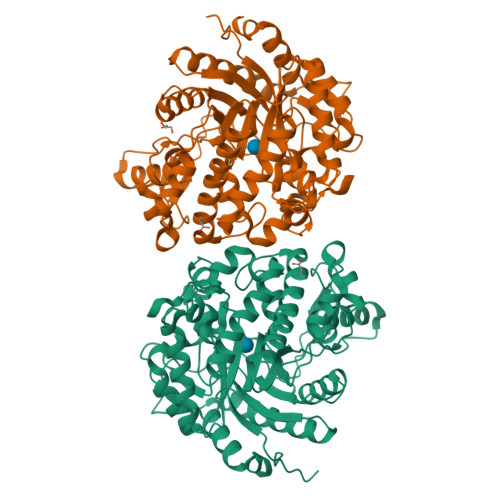 RCSB PDB - 5GNX: The E171Q mutant structure of Bgl6
