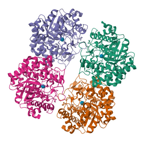 RCSB PDB - 5GNY: The structure of WT Bgl6
