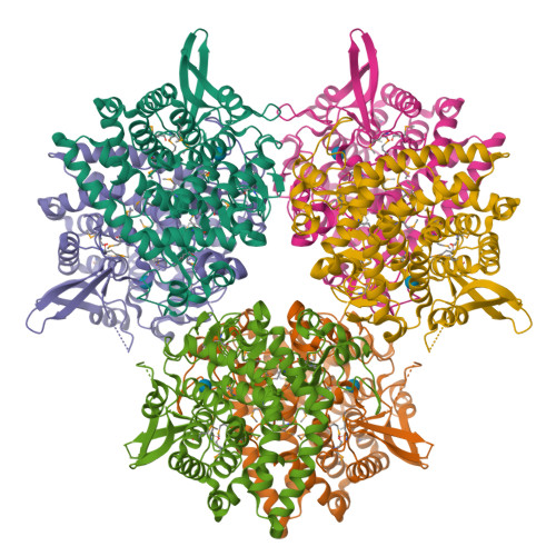 RCSB PDB - 5GOQ: Crystal structure of alkaline invertase InvA from ...