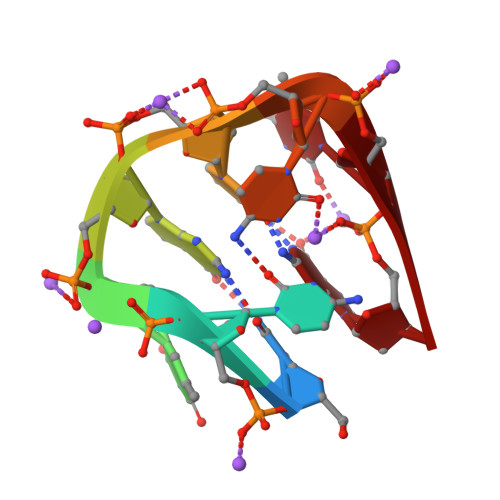 RCSB PDB - 5GWL: Structure of two CCTG repeats