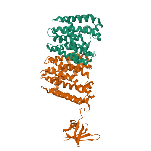 RCSB PDB - 5GWV: Structure of MoeN5-Sso7d fusion protein in complex ...