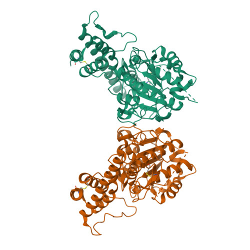 RCSB PDB - 5H0I: Structure of OaAEP1 asparaginyl peptide ligase in its ...