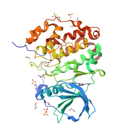 RCSB PDB - 5H8B: Crystal structure of CK2 with compound 2