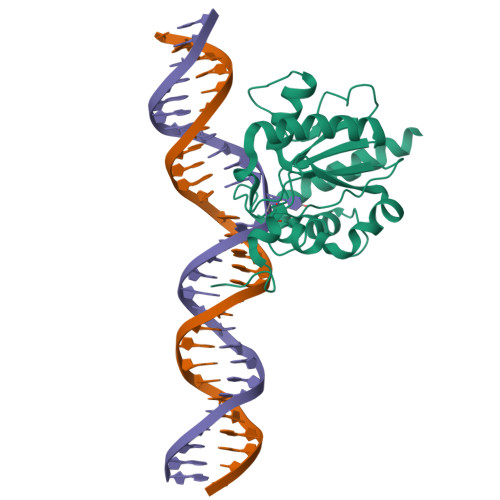 RCSB PDB - 5HF7: TDG enzyme-substrate complex