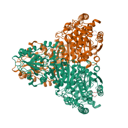 RCSB PDB - 5HGX: Crystal Structure of Transketolase mutant - H261F from ...