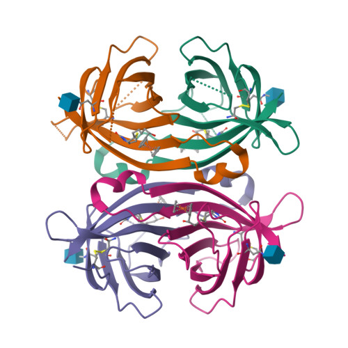 RCSB PDB - 5HLM: Crystal structure of avidin complex with a ferrocene ...