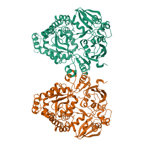 RCSB PDB - 5HM4: Crystal structure of oligopeptide ABC transporter ...