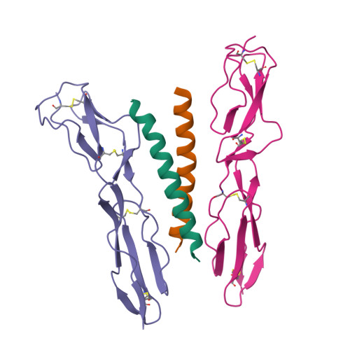 RCSB PDB - 5HYT: Structure of human C4b-binidng protein alpha chain CCP ...