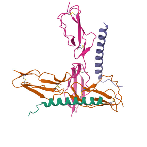 RCSB PDB - 5HYU: Structure of human C4b-binding protein alpha chain CCP ...