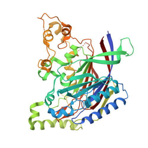RCSB PDB - 5HYY: Crystal structure of N-terminal amidase
