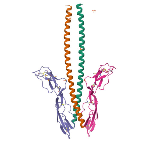 RCSB PDB - 5HZP: Structure of human C4b-binding protein alpha chain CCP ...