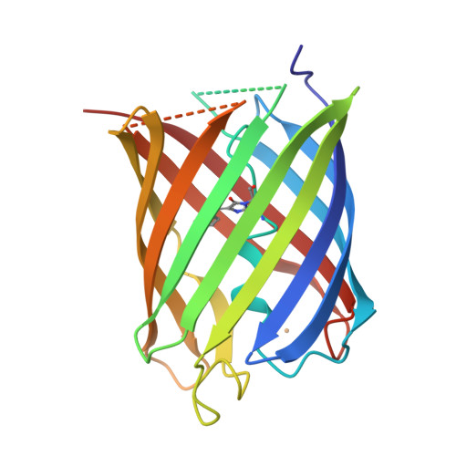 RCSB PDB - 5HZT: Crystal structure of Dronpa-Cu2+
