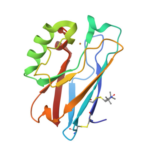 RCSB PDB - 5I26: Azurin T30R1, crystal form I