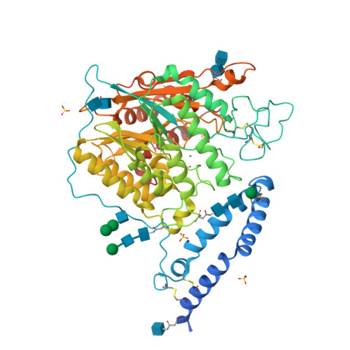 RCSB PDB - 5I81: aSMase with zinc