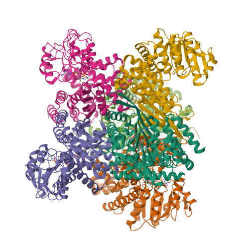 RCSB PDB - 5IJZ: Crystal structure of glutamate dehydrogenase(GDH) from ...