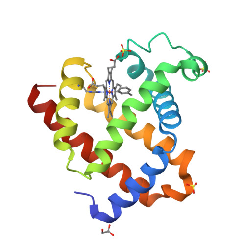 RCSB PDB - 5ILP: H64Q sperm whale myoglobin with a Fe-tolyl moiety