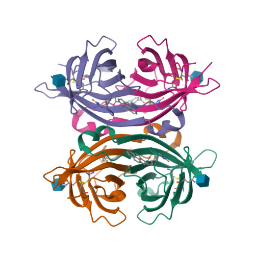 RCSB PDB - 5IRU: Crystal structure of avidin in complex with 1 ...