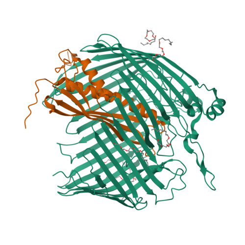 RCSB PDB - 5IVA: The LPS Transporter LptDE from Pseudomonas aeruginosa ...