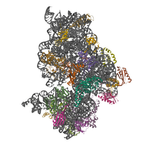 RCSB PDB - 5IWA: Crystal structure of the 30S ribosomal subunit from ...