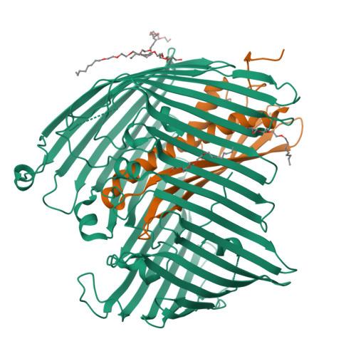 RCSB PDB - 5IXM: The LPS Transporter LptDE from Yersinia pestis, core ...
