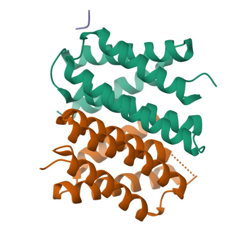 RCSB PDB - 5IZ2: Crystal structure of the N. clavipes spidroin NTD at ...