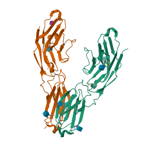 RCSB PDB - 5J06: Structure of the immune receptor CD33 in complex with ...
