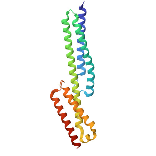 RCSB PDB - 5J1F: Structure of the spectrin repeats 5 and 6 of the ...