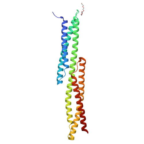 RCSB PDB - 5J1G: Structure of the spectrin repeats 7 and 8 of the ...