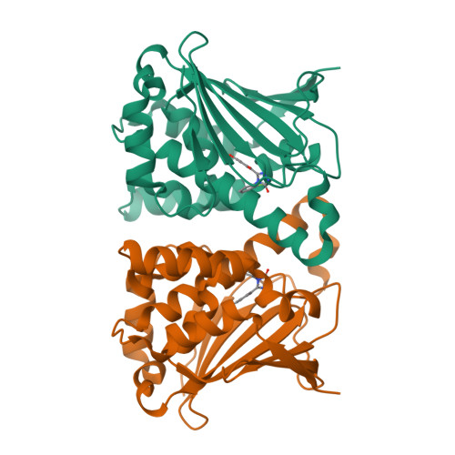 RCSB PDB - 5J64: Crystal Structure of Hsp90-alpha N-domain in complex ...