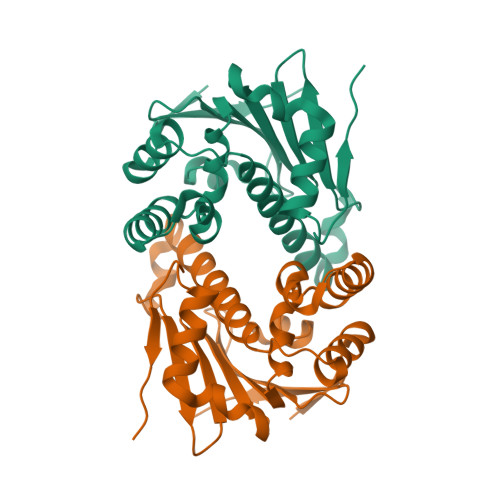 RCSB PDB - 5J80: Crystal Structure of Apo Hsp90-alpha N-domain L107A mutant