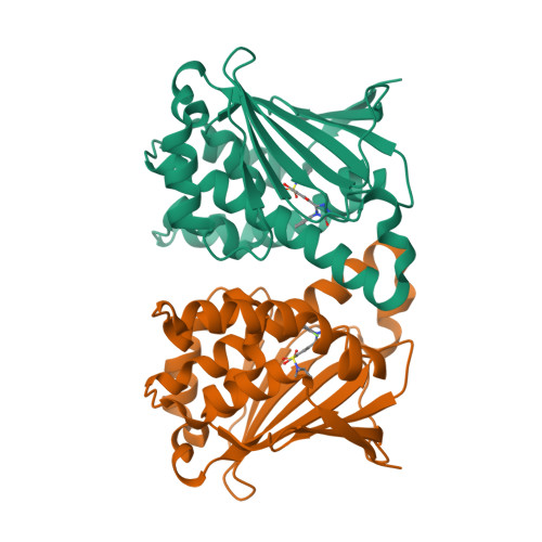 RCSB PDB - 5J82: Crystal Structure of Hsp90-alpha N-domain in complex 5 ...