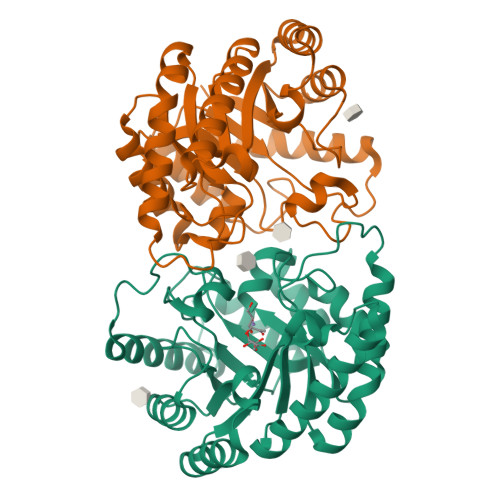 RCSB PDB - 5J8L: Crystal structure of D-tagatose 3-epimerase C66S from ...