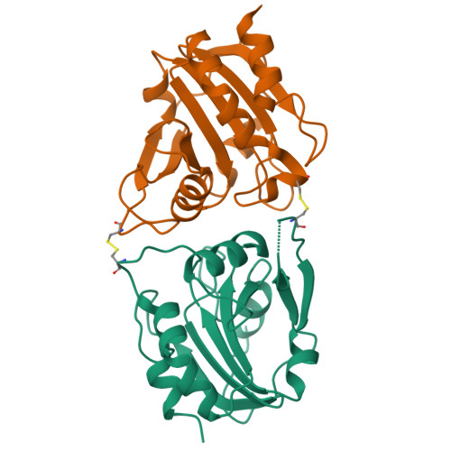 RCSB PDB - 5J9B: Crystal structure of peroxiredoxin Asp f3