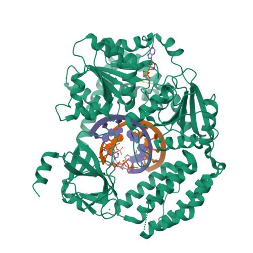 RCSB PDB - 5JB2: Crystal structure of chicken LGP2 with 5'ppp 10-mer ...