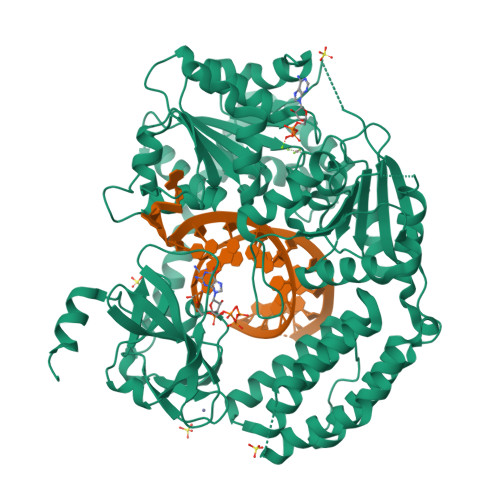 RCSB PDB - 5JBG: Crystal structure of chicken LGP2 with 5'ppp 26-mer ...