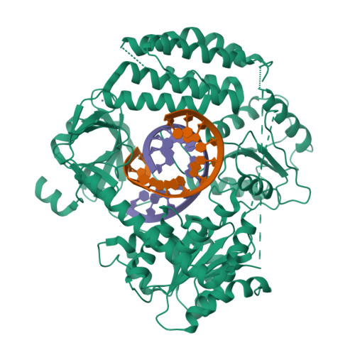 RCSB PDB - 5JBJ: Crystal structure of chicken LGP2 with 5'p 12-mer ...