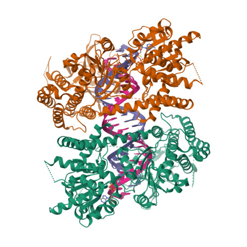 RCSB PDB - 5JC7: Crystal structure of chicken MDA5 with 5'p 24-mer ...