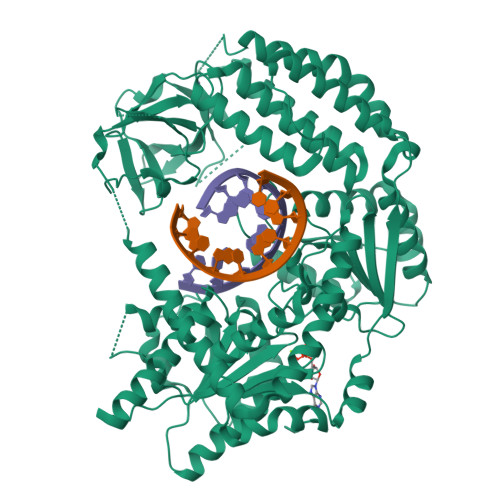 RCSB PDB - 5JCH: Crystal structure of chicken MDA5 with 5'p 10-mer ...