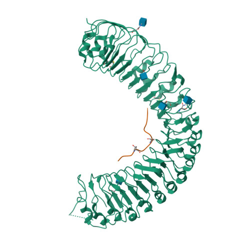 RCSB PDB - 5JFI: Crystal structure of a TDIF-TDR complex